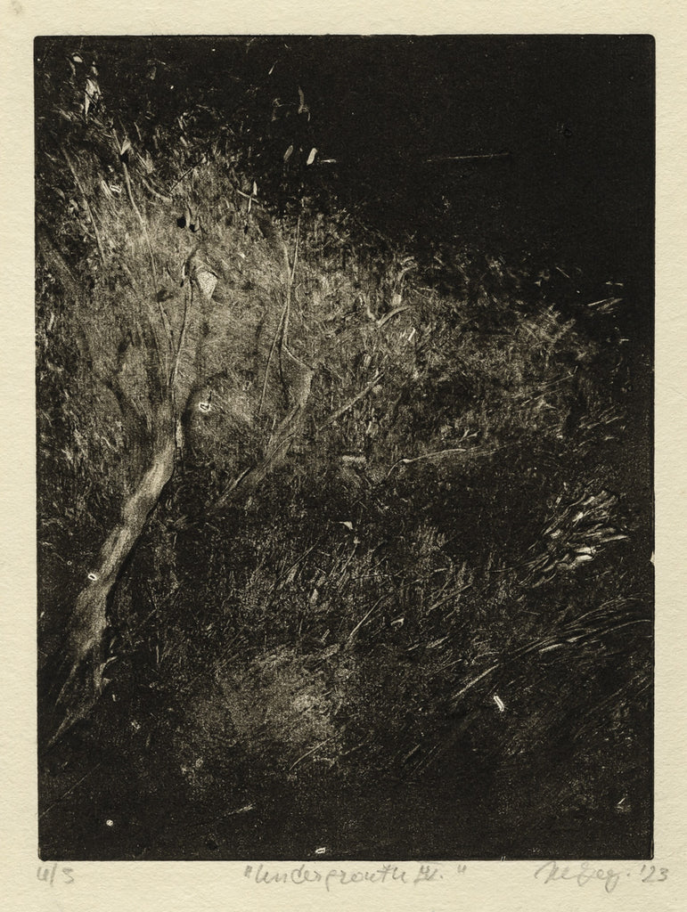 Marketa KEMP - Undergrowth IV - Monotype - 2023 — Mesh Art Gallery