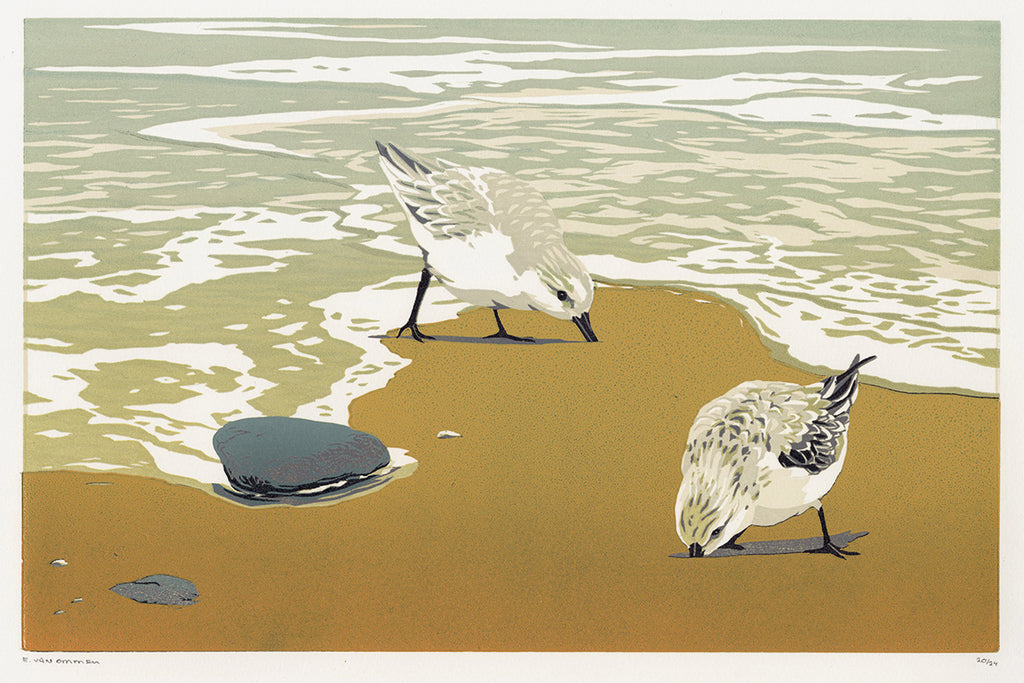 Erik VAN OMMEN - Sandpipers - Drieteenstrandlopers - color woodcut ...