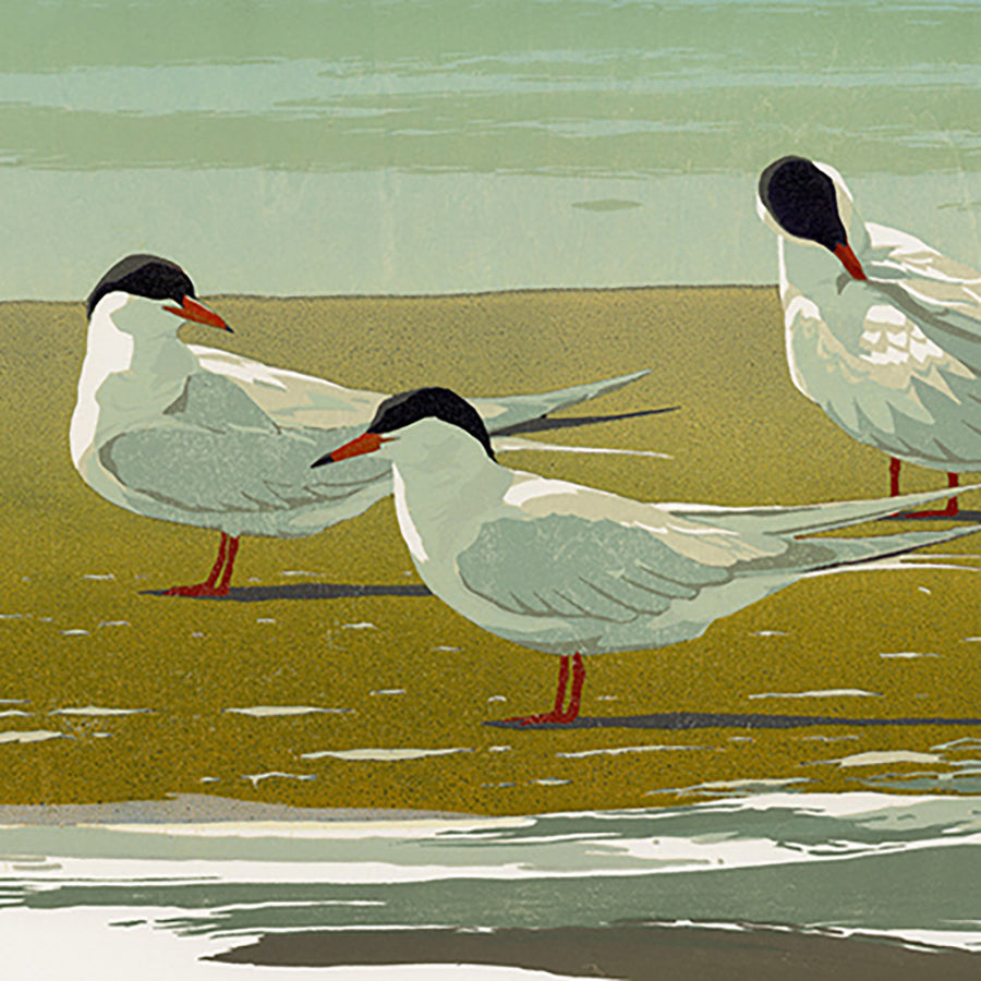 Erik VAN OMMEN - Common Terns - Een zonnige namiddag - Color woodcut ...